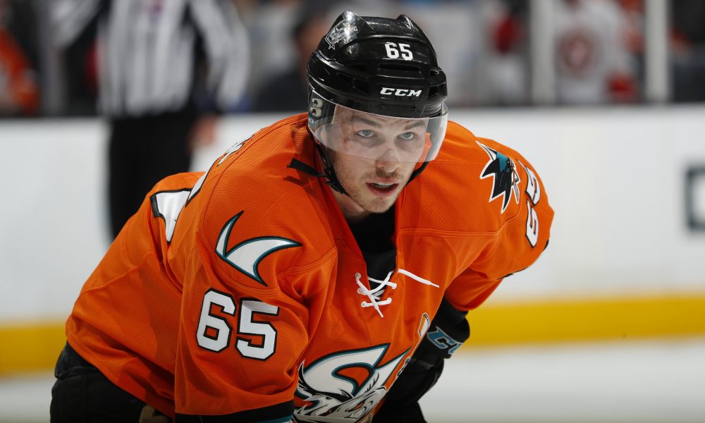 Recap of San Jose Barracuda Awards and Honors - Teal Town USA